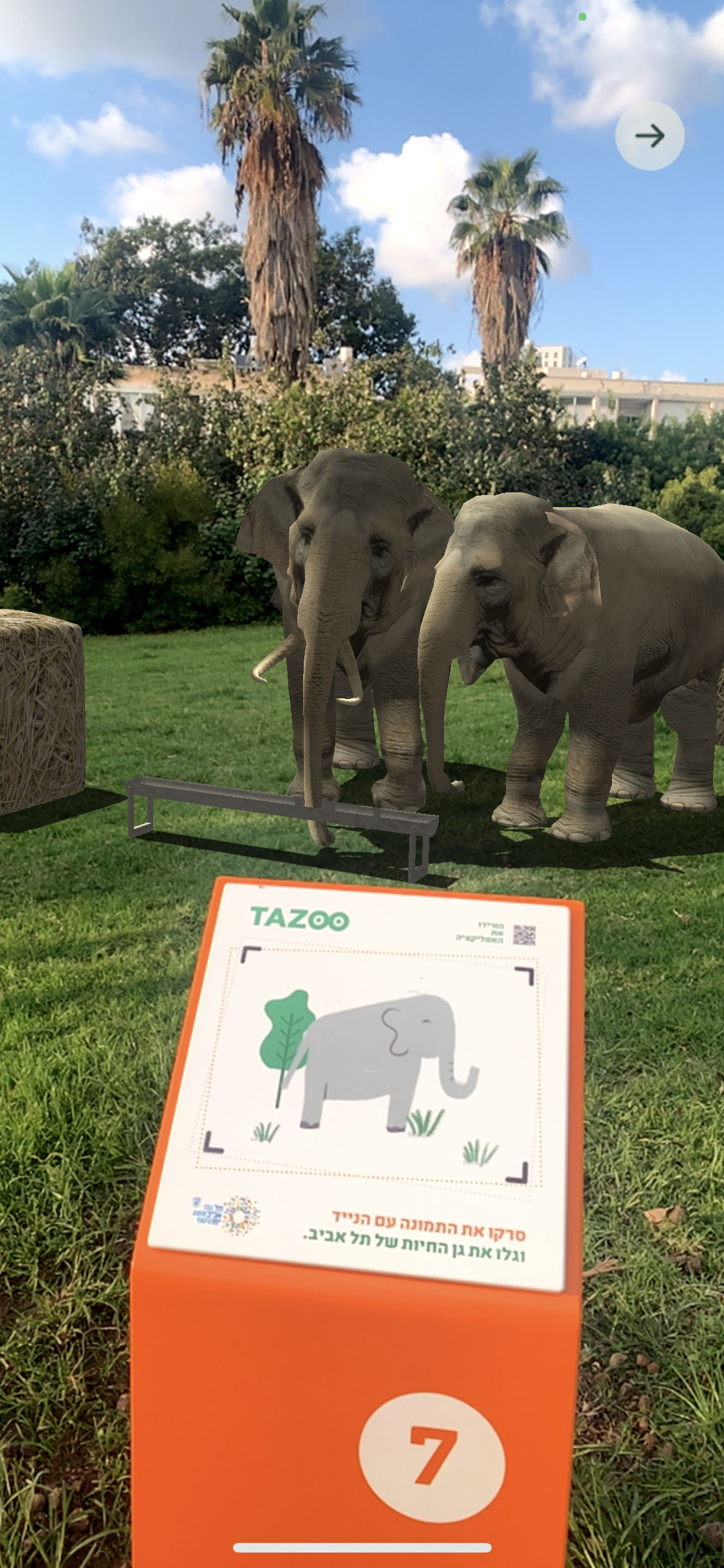 TAZOO - NFCT English