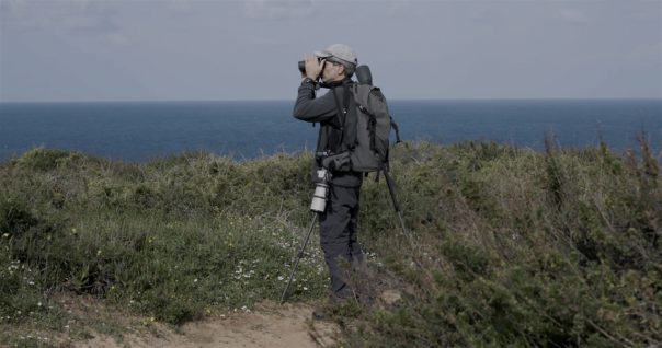 Observation Diary - NFCT English